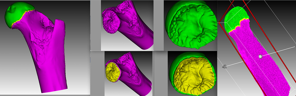 Work flow suggestion for STL -> Geometry x3 -> merged but partitioned ...